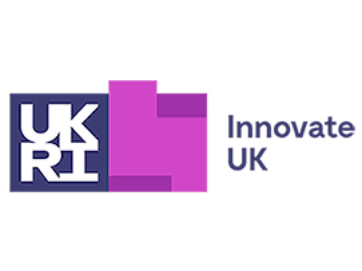 © 2025 All Rights Reserved