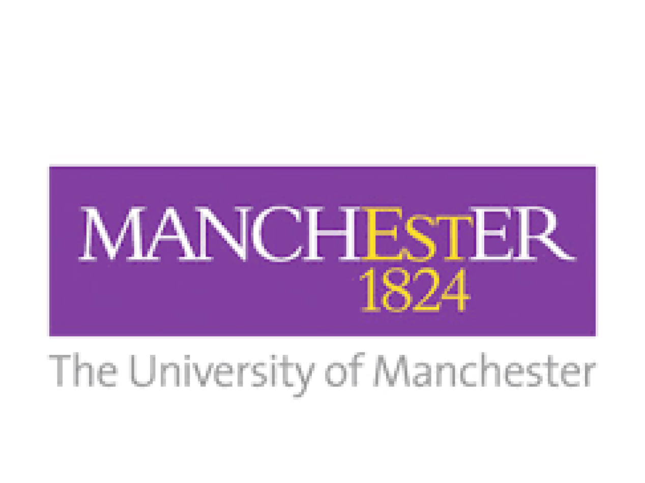 © 2025 All Rights Reserved